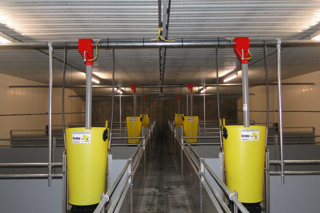 Dry feeding - Kamplan